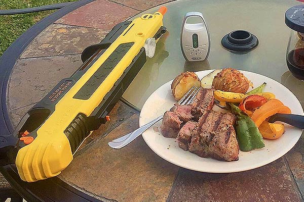 Salt Firing Shotgun Bug-A-Salt – I*Need*It